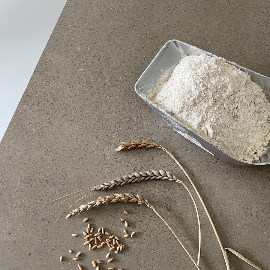 BREAD FOR DIGESTIVE HEALTH - Online course – TEACH SCOILE : The Happy ...